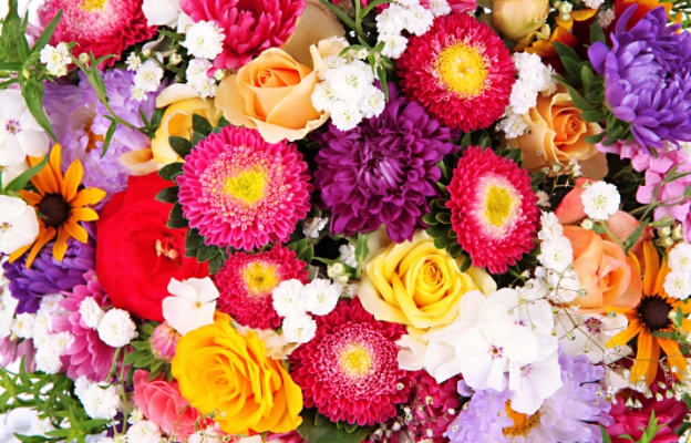 ТЕСТ: Какво цвете си ти? - Тестове - Edna.bg