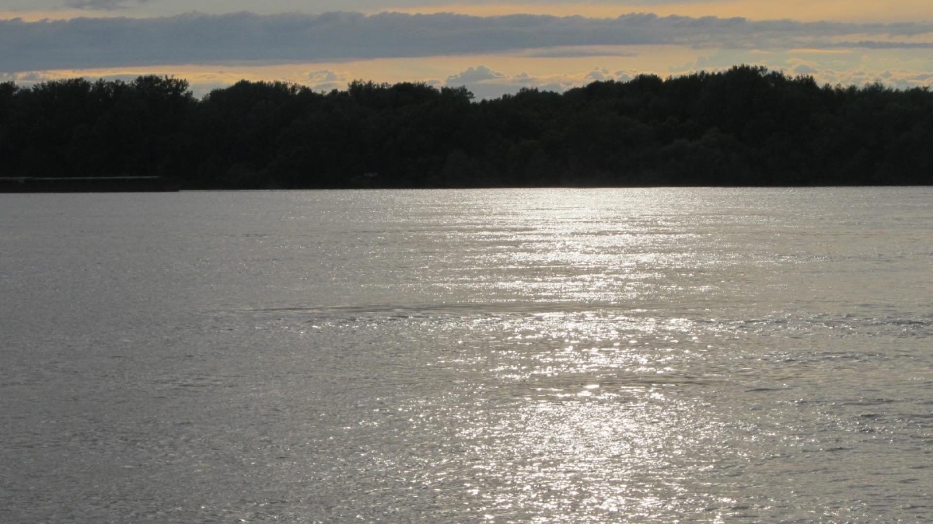 Отбелязваме Деня на река Дунав (снимки)|Vesti.bg