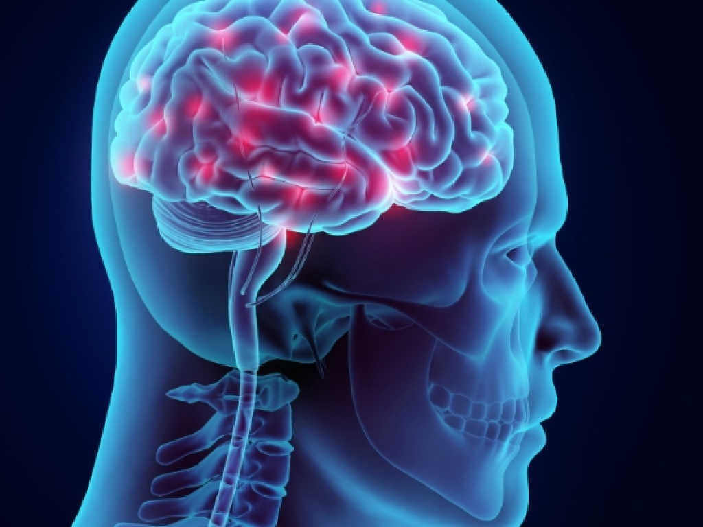 Животът в Космоса се отразява драстично на мозъка - Технологии | Vesti.bg