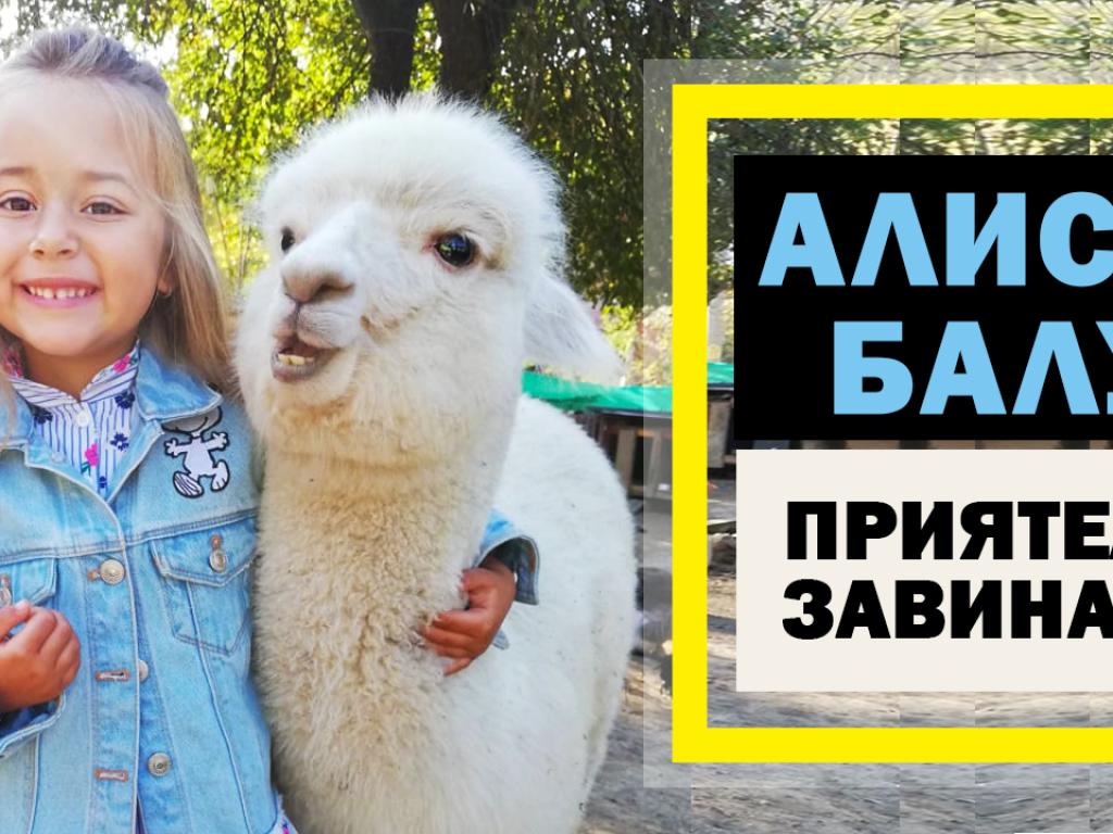 Алис и Балу: Едно необикновено приятелство - Любопитно - Vesti.bg