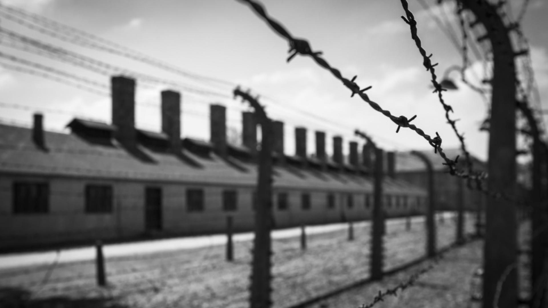 Син на герой от Аушвиц търси милиони от Полша за екзекуцията на баща му ...
