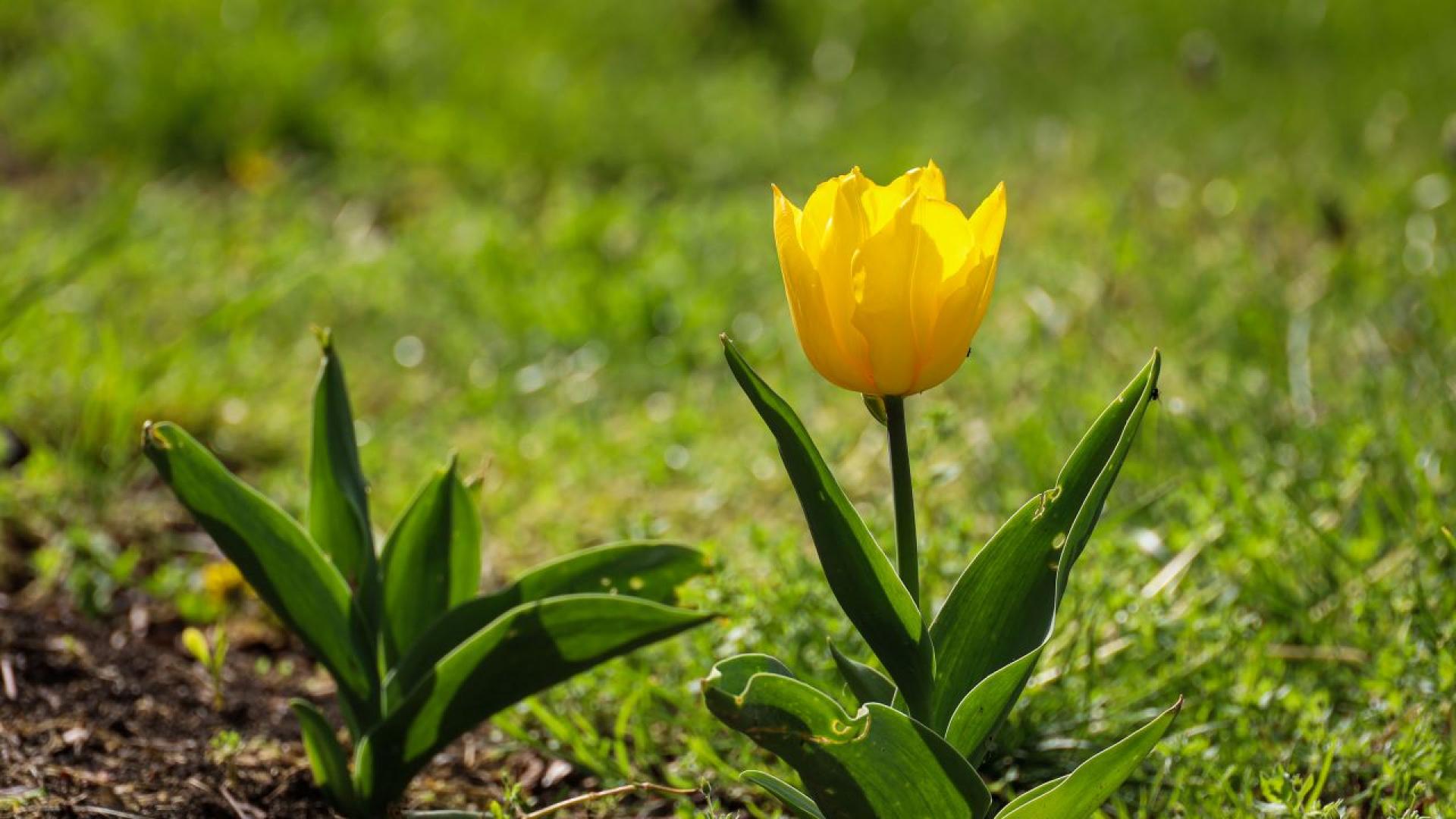 Времето в четвъртък: Завръща ли се слънцето|Vesti.bg