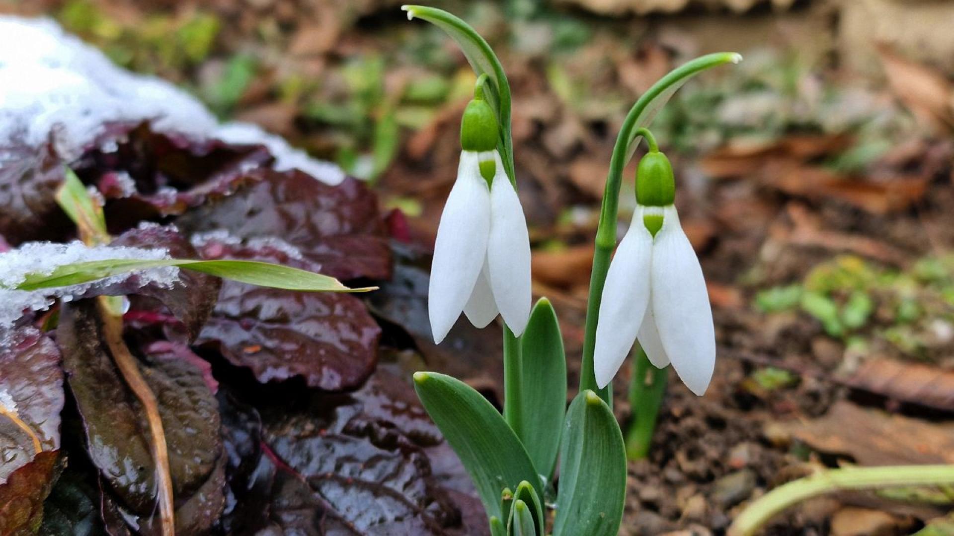 Предстои промяна във времето, нахлува студен въздух - ето кога|Vesti.bg