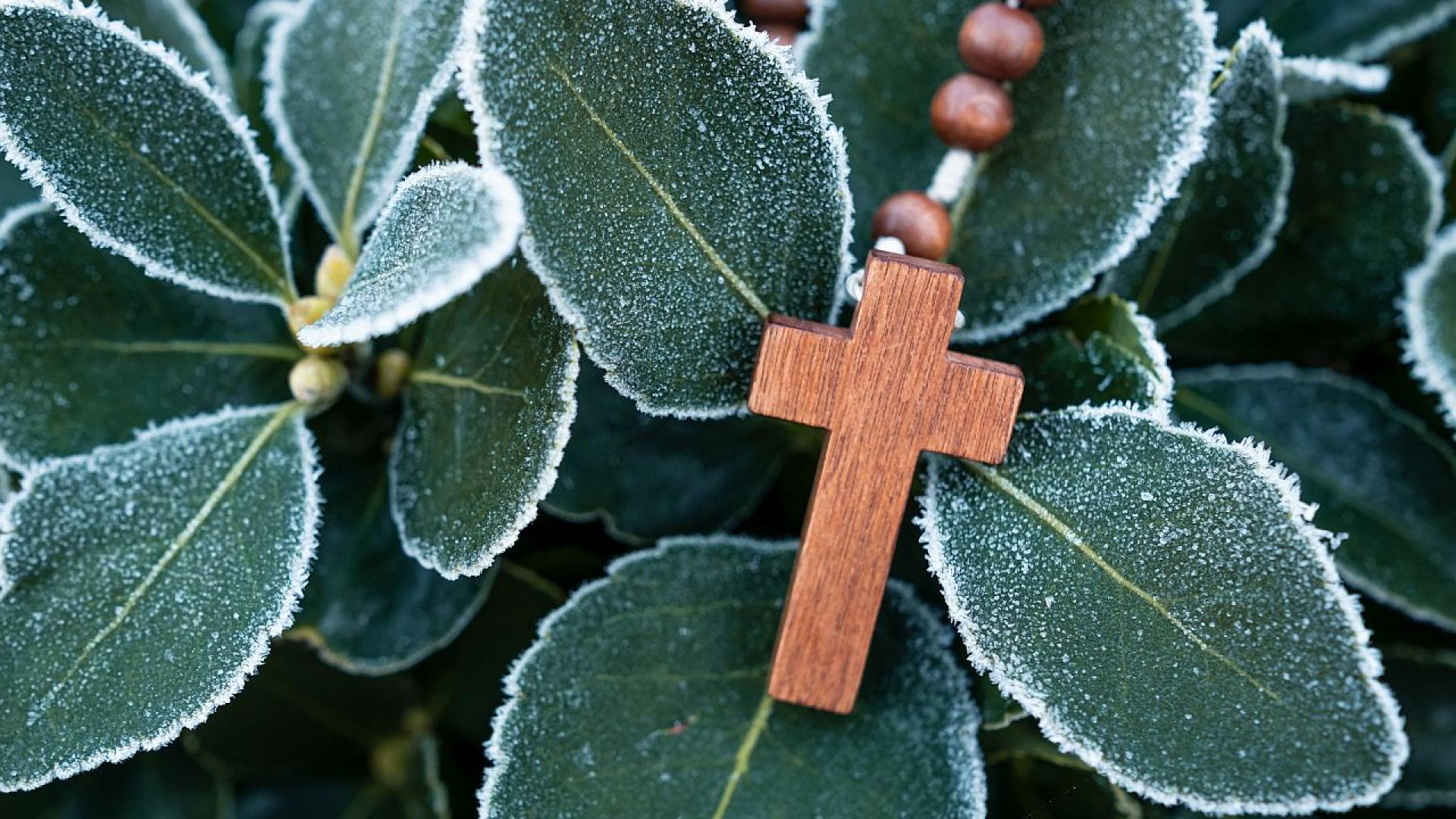 عکسهای سکسی blac chyna