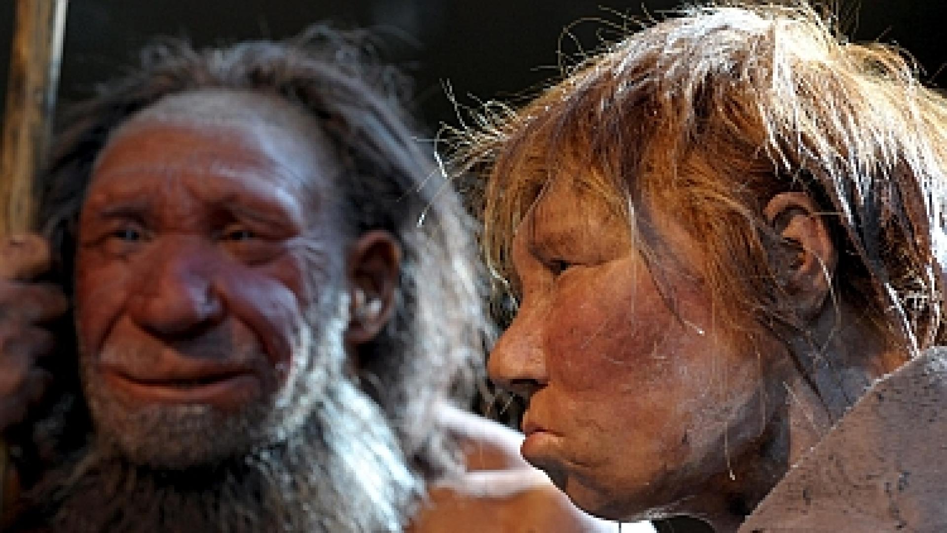 Поглед към древното минало: Реконструираха лицето на неандерталец след ...